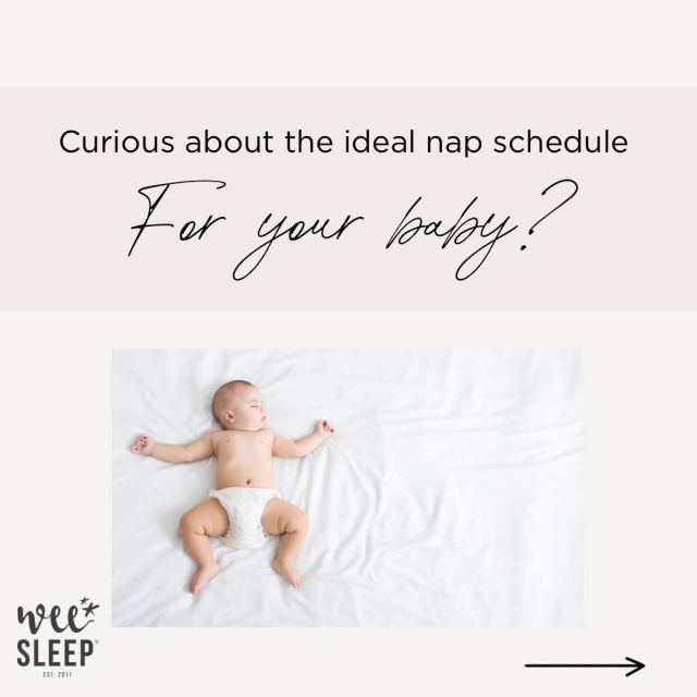 Contact Us - WeeSleep