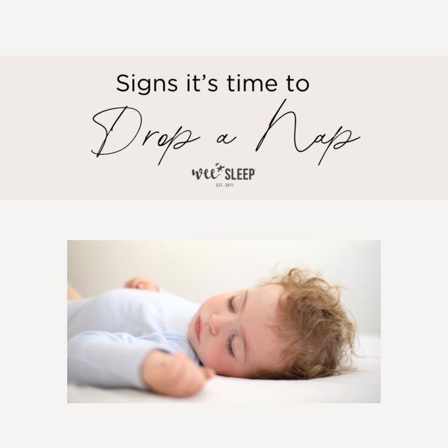 Contact Us - WeeSleep